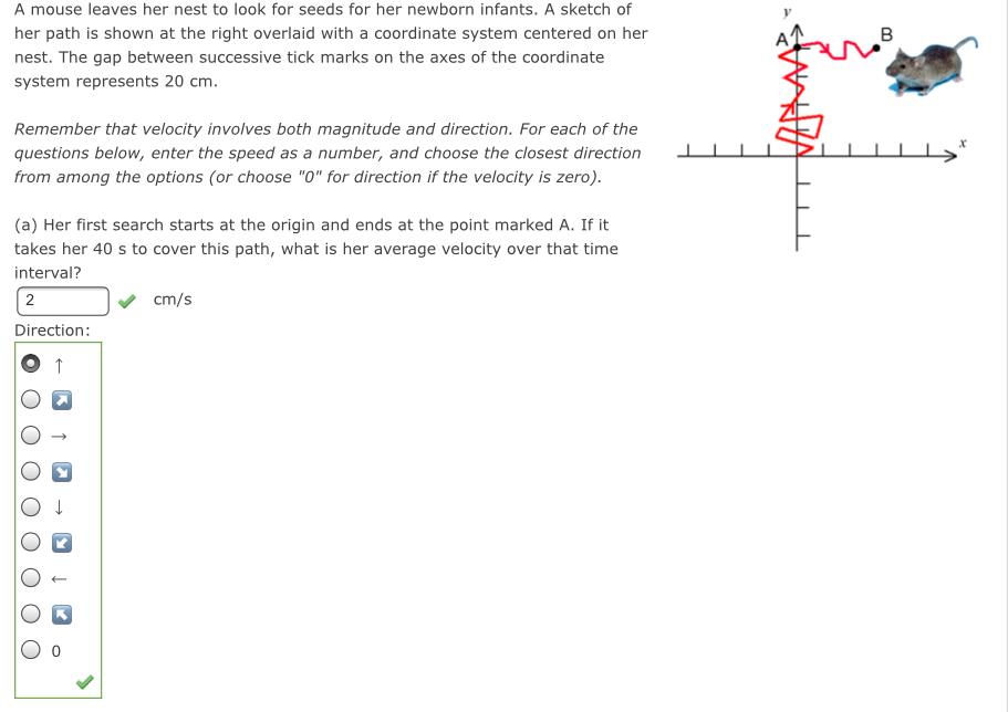 Solved B A mouse leaves her nest to look for seeds for her | Chegg.com