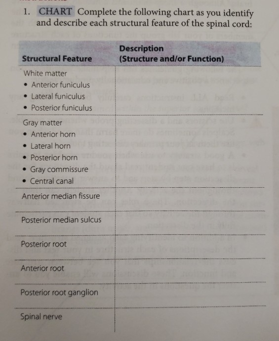Solved 1. CHART Complete the following chart as you identify | Chegg.com
