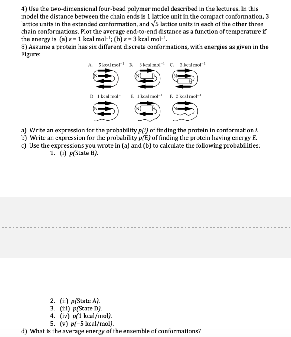 Solved Use the two-dimensional four-bead polymer model | Chegg.com