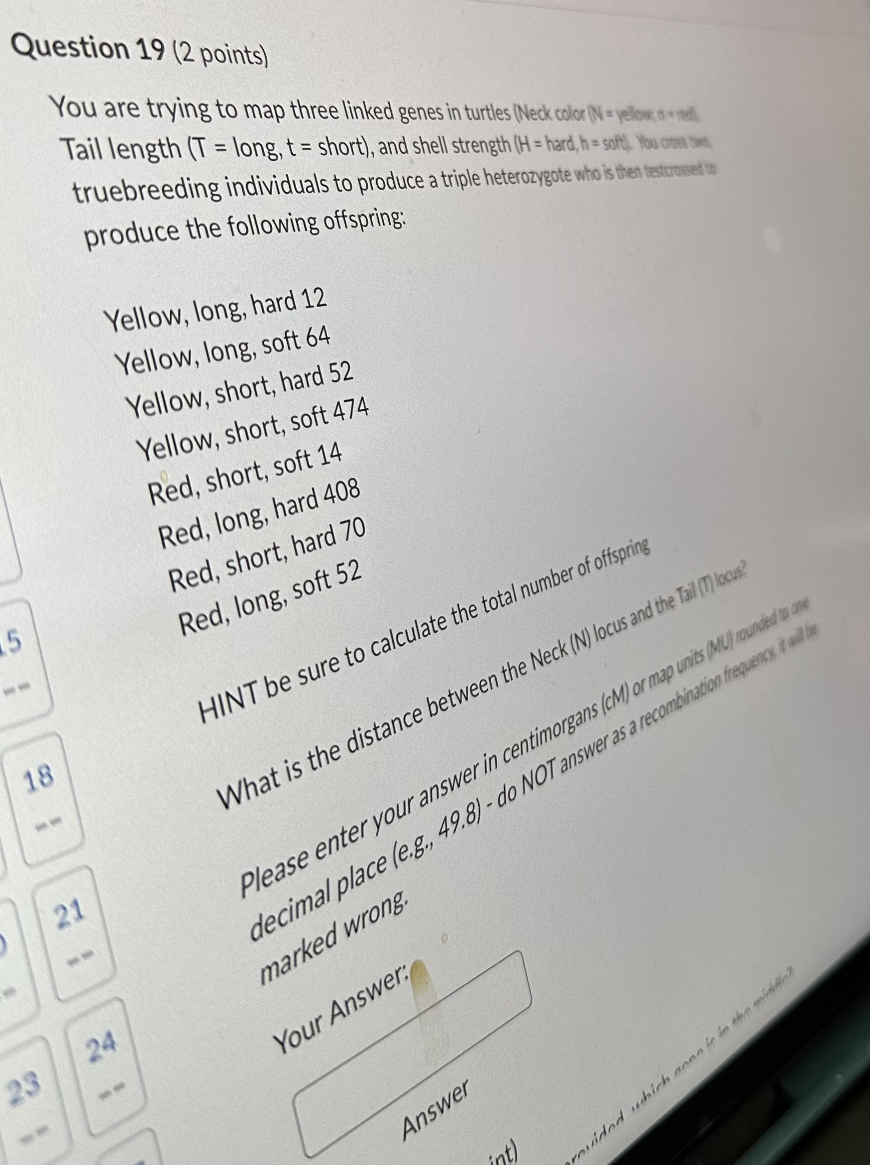 Solved A true-breeding "ac" individual (aBclaBc) is mated | Chegg.com