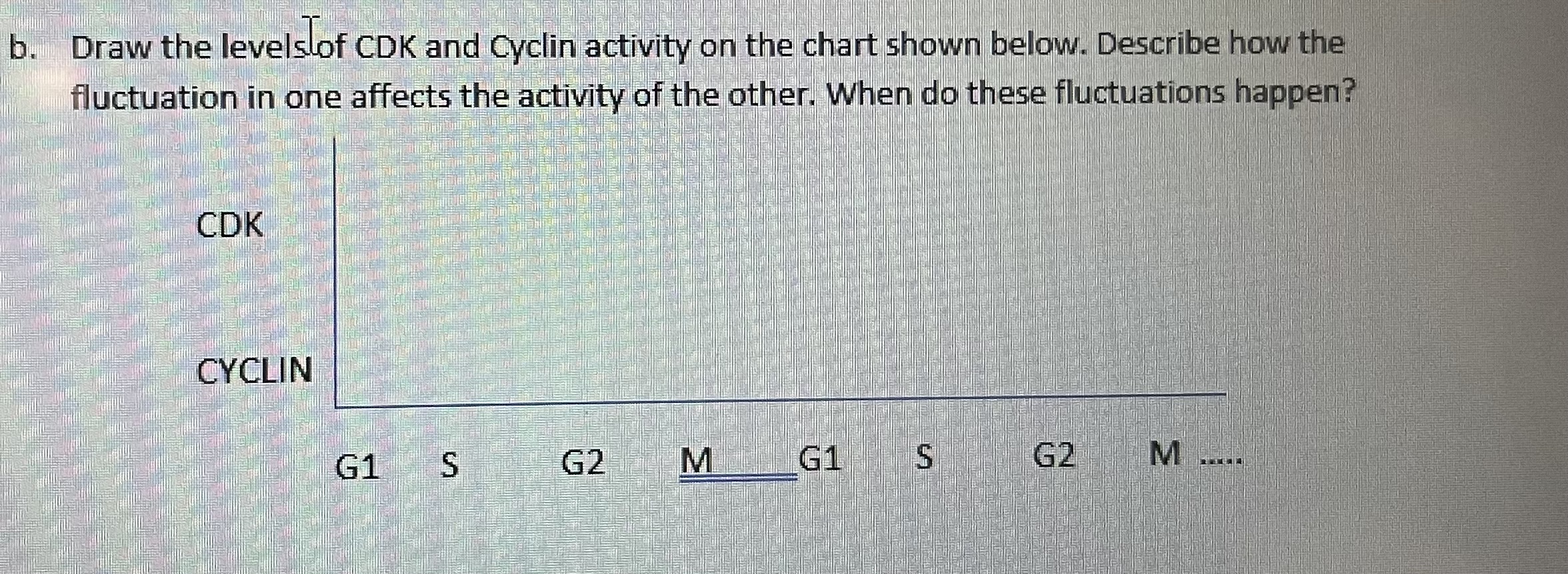 Solved Draw the levels −f CDK and Cyclin activity on the | Chegg.com