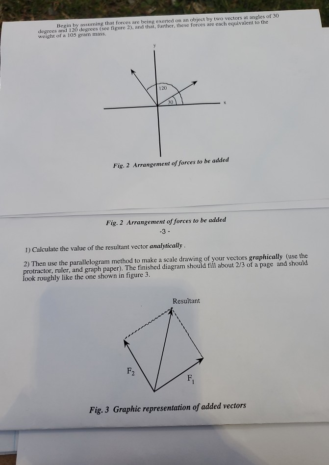 Solved Begin by assuming that forces are being exerted on an | Chegg.com