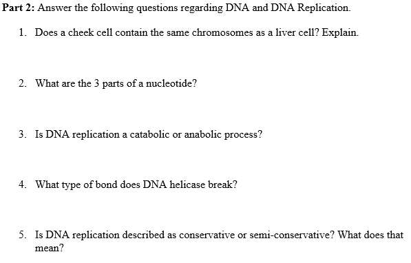 Solved Part 2: Answer the following questions regarding DNA | Chegg.com