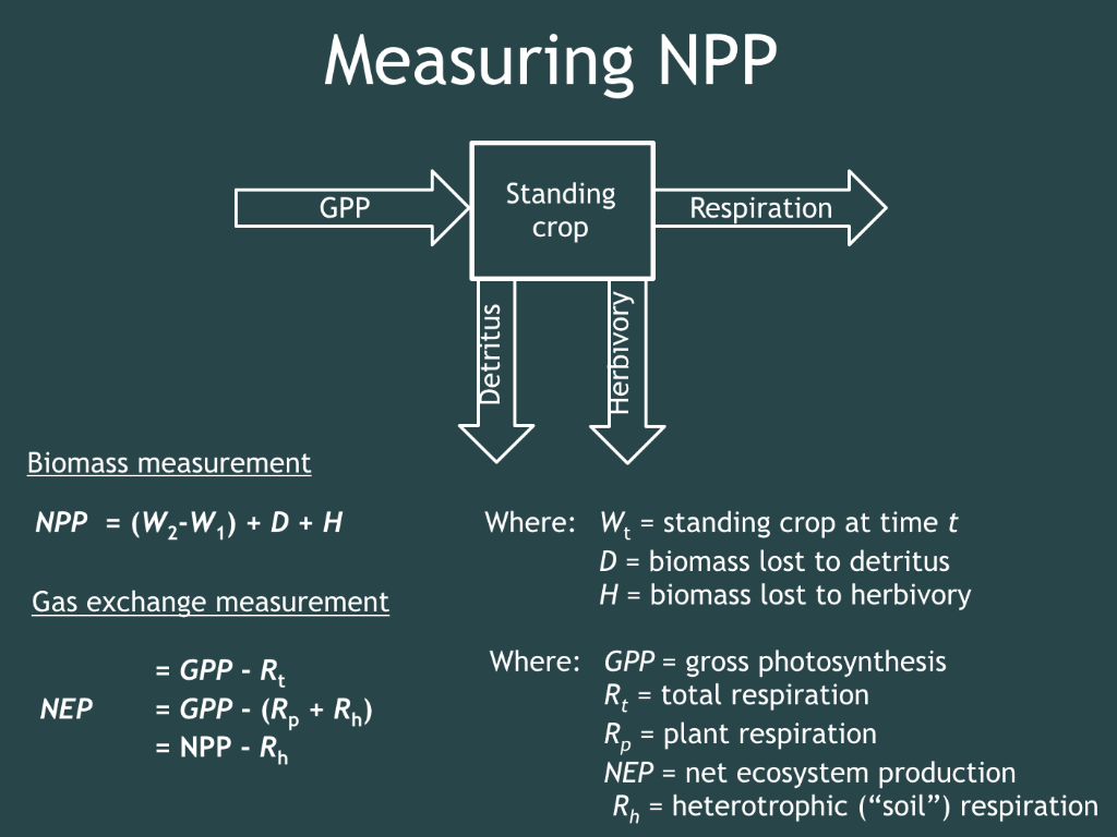Solved 5000 4000 13. The figure to the right shows global | Chegg.com