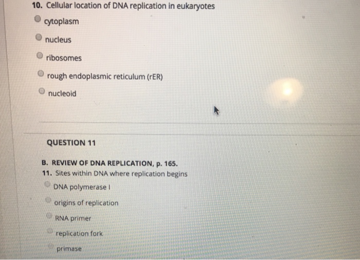 Solved 10. Cellular location of DNA replication in | Chegg.com
