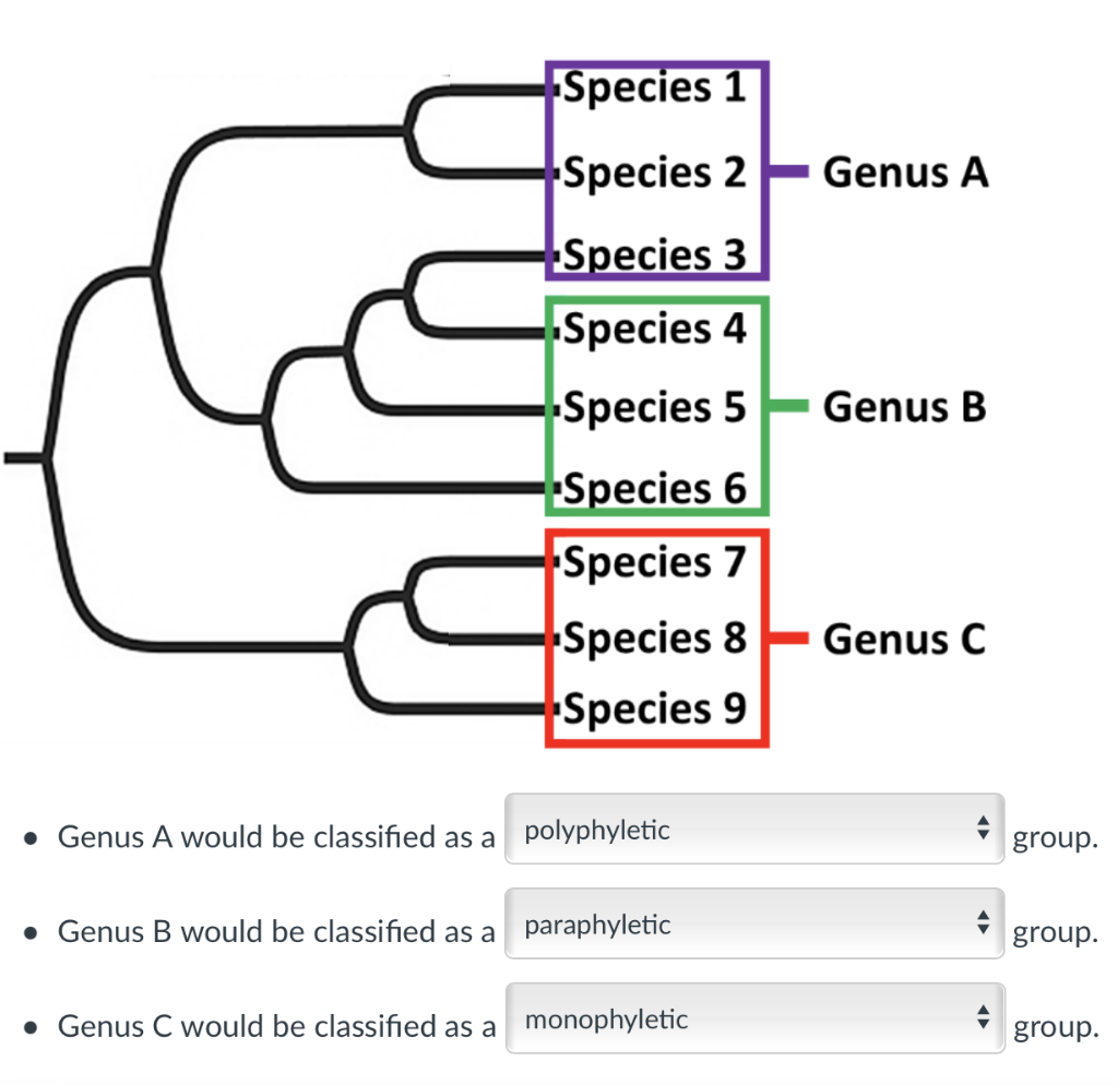 Solved Species 1 Species 2 Genus A Species 3 Species 4 | Chegg.com