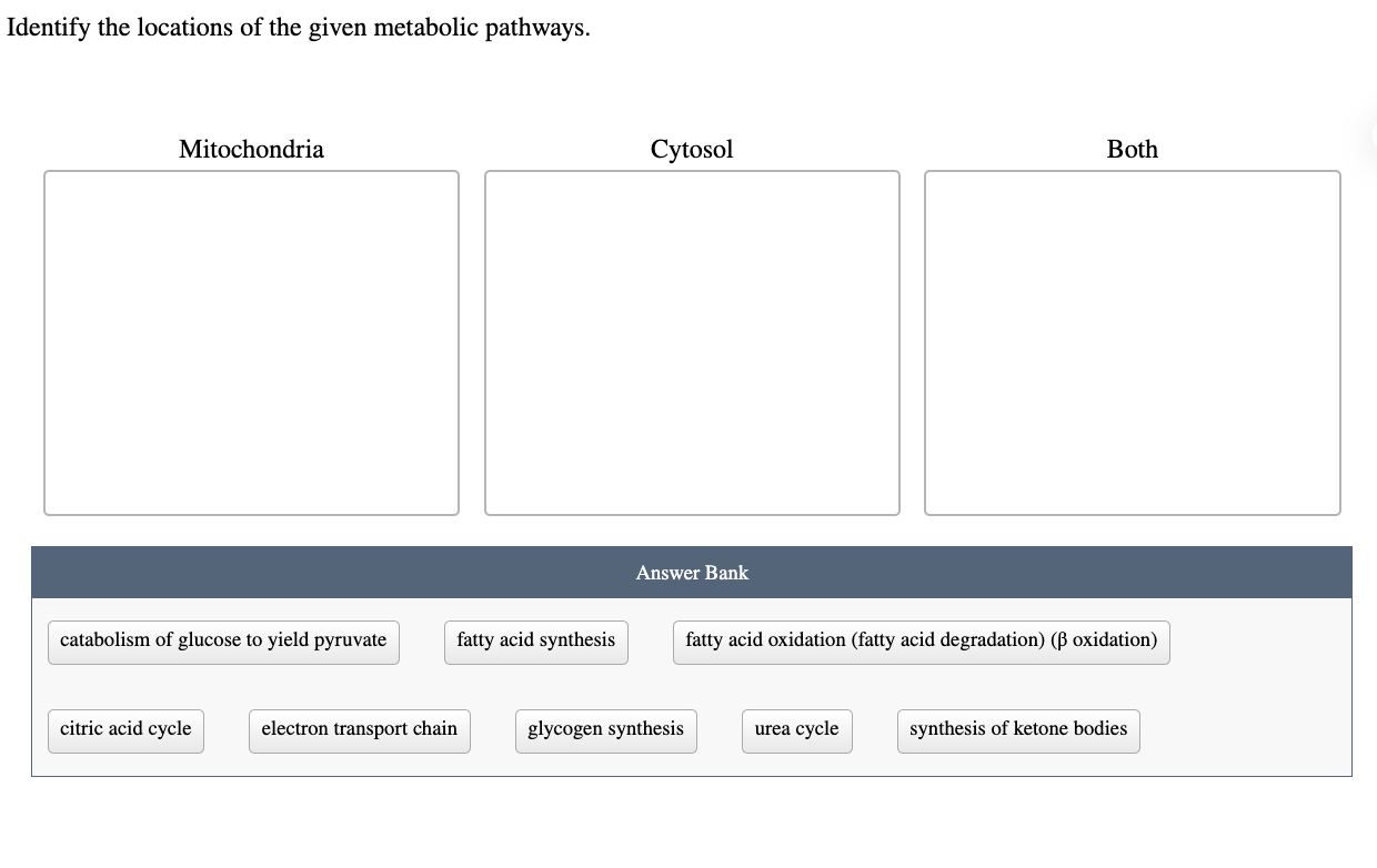 Solved Identify the locations of the given metabolic | Chegg.com
