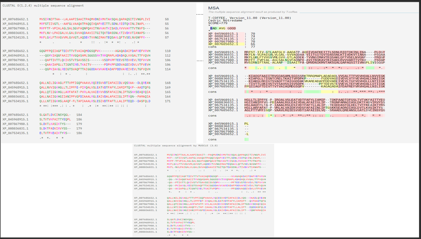 Solved These are sequence alignments of 5 ﻿different species | Chegg.com