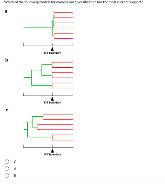 Solved Which of the following models for mammalian | Chegg.com