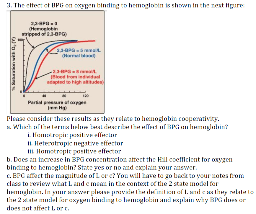 Solved 3. The effect of BPG on oxygen binding to hemoglobin | Chegg.com