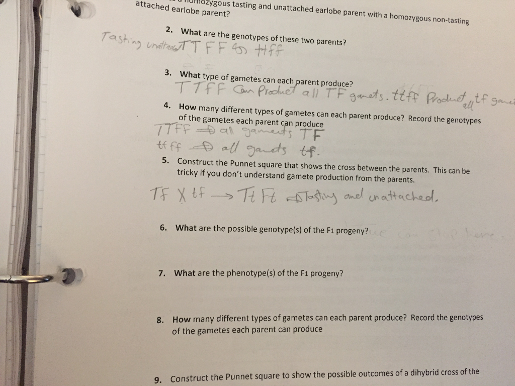 Solved Activity E: Predicting the outcome of a dihybrid | Chegg.com