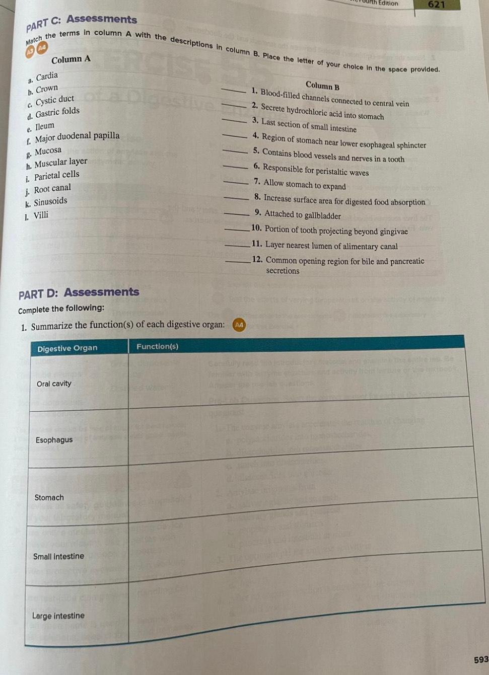 Solved ourth Edition 621 PART C: Assessments Match the terms | Chegg.com