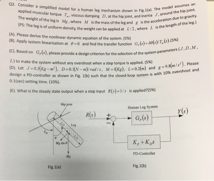 Q3. Consider a simplified model for a human leg | Chegg.com