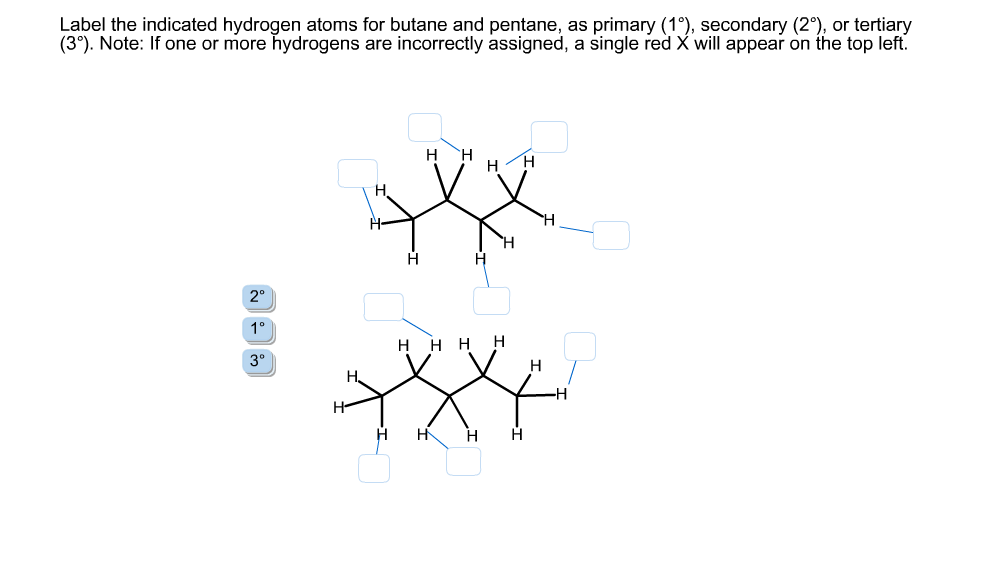 Solved Label the indicated hydrogen atoms for butane and | Chegg.com