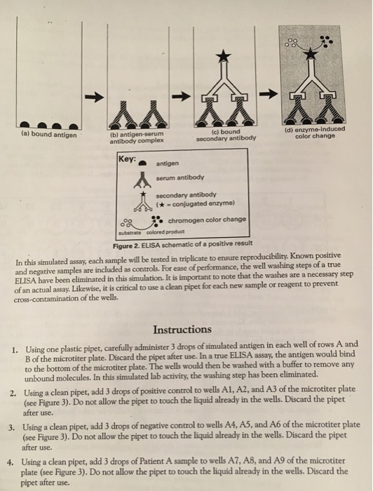 Solved ELISA Simulation Introduction The Body's Defense | Chegg.com