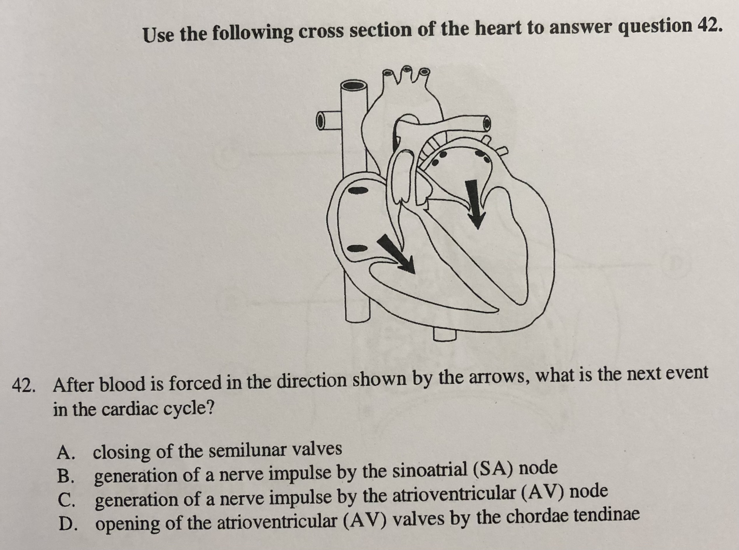 Solved Use the following cross section of the heart to | Chegg.com