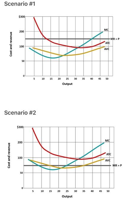 Solved In Scenario #1, does this graph depict the short-run | Chegg.com