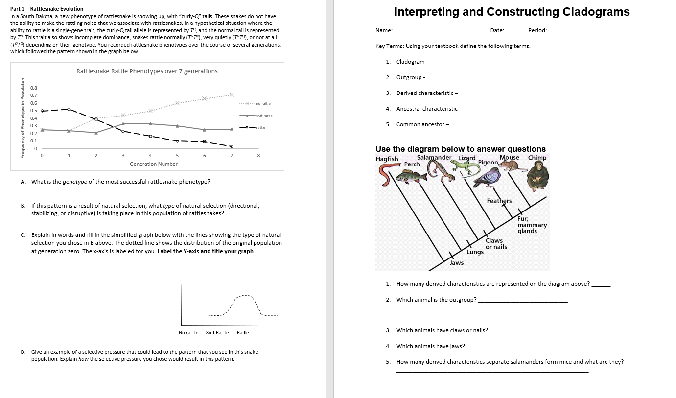 Solved Interpreting and Constructing Cladograms Part 1 - | Chegg.com