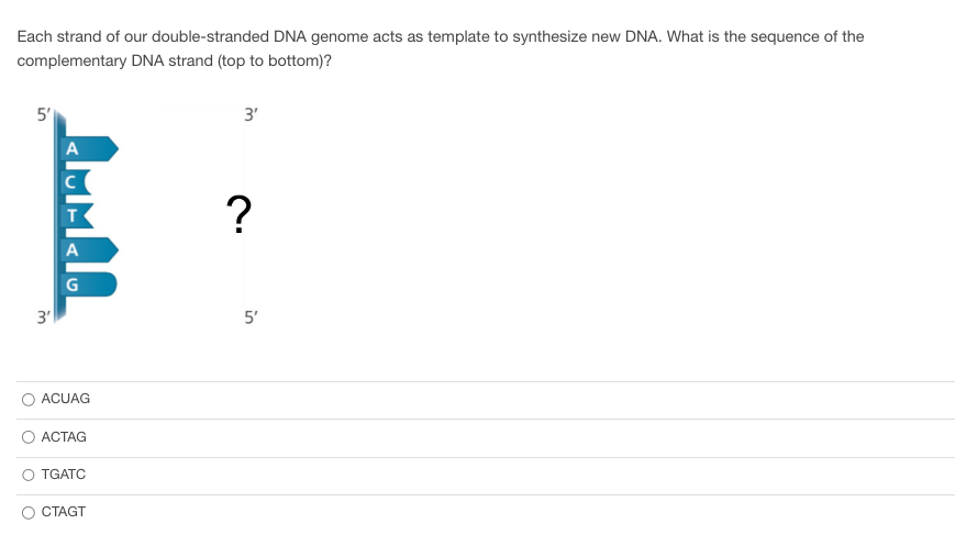 Solved Each strand of our double-stranded DNA genome acts as | Chegg.com