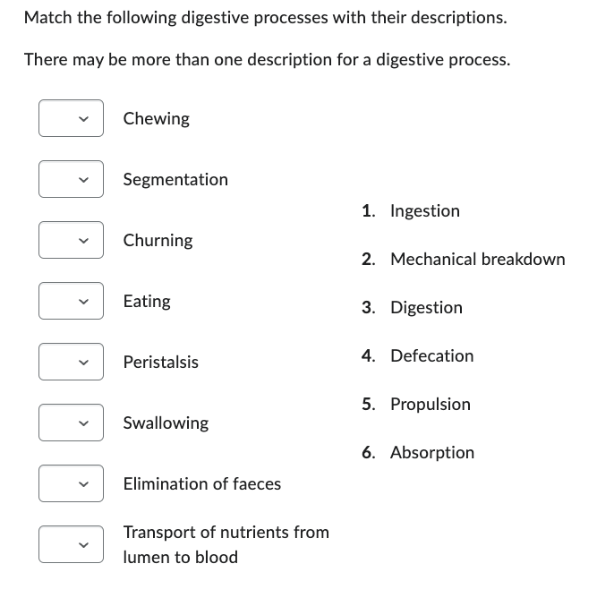 Solved Match the following digestive processes with their | Chegg.com