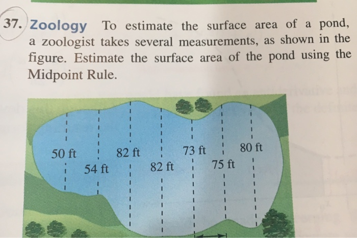 Solved 37. Zoology To estimate the surface area of a pond, a | Chegg.com