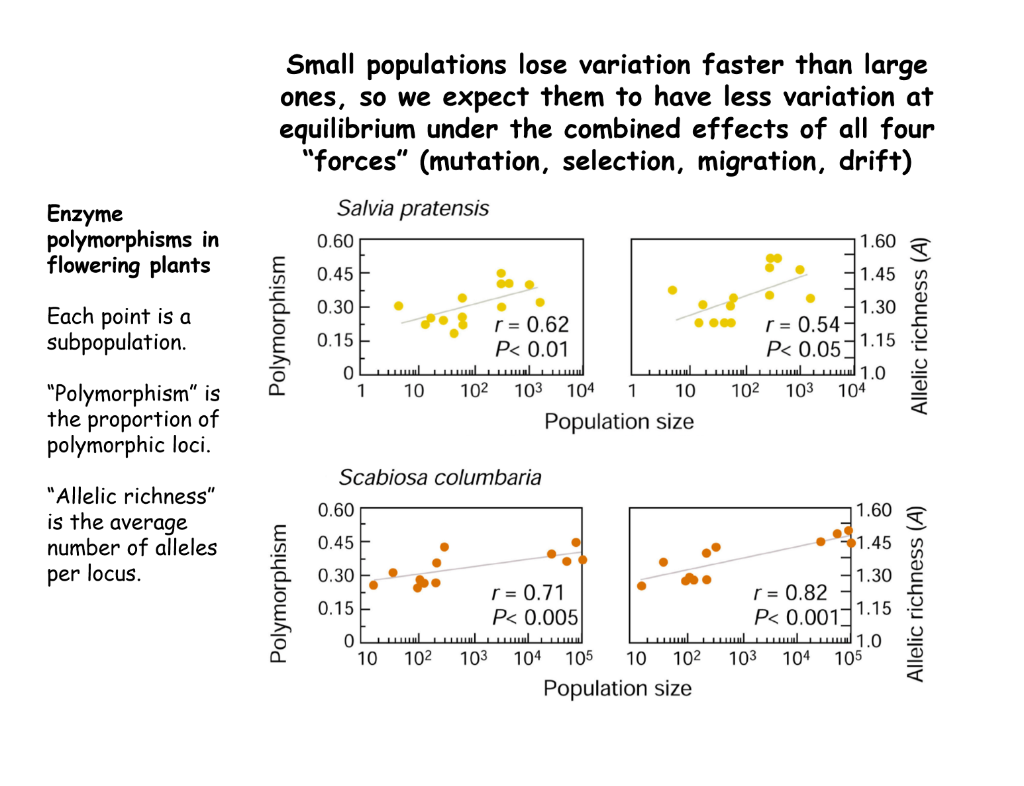 Solved Slides 13 and 14 show enzyme polymorphism levels for | Chegg.com
