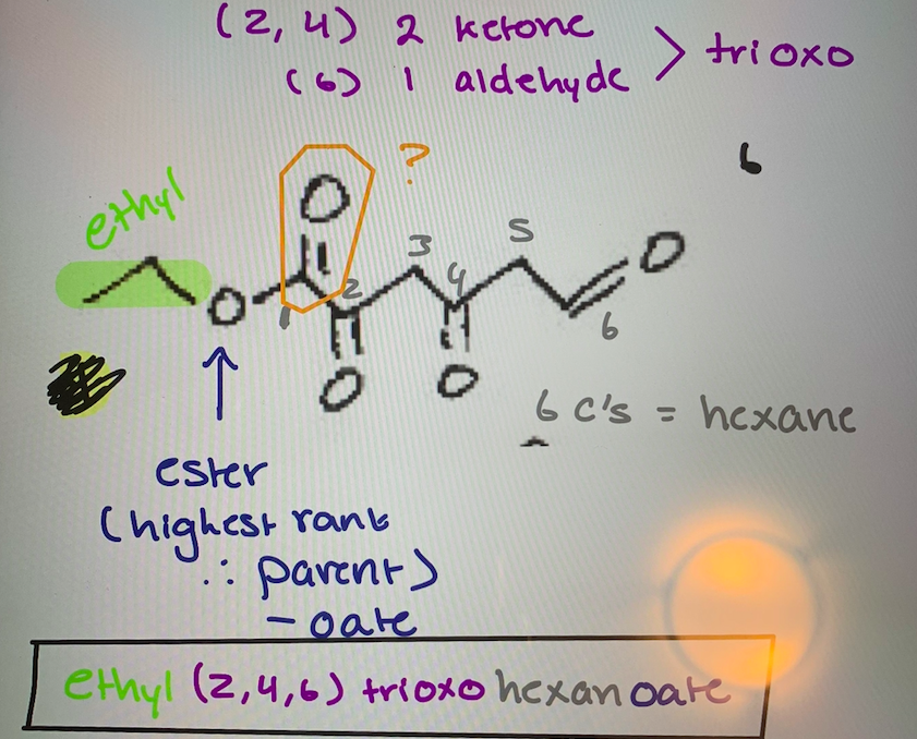 Solved Hi! I'm studying for my organic chemistry test | Chegg.com
