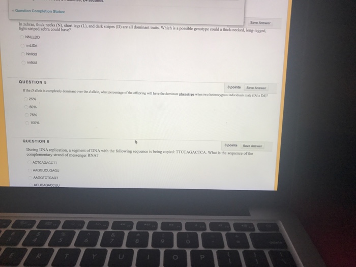 Solved Question Completion Status: Assume that in mice, coat | Chegg.com