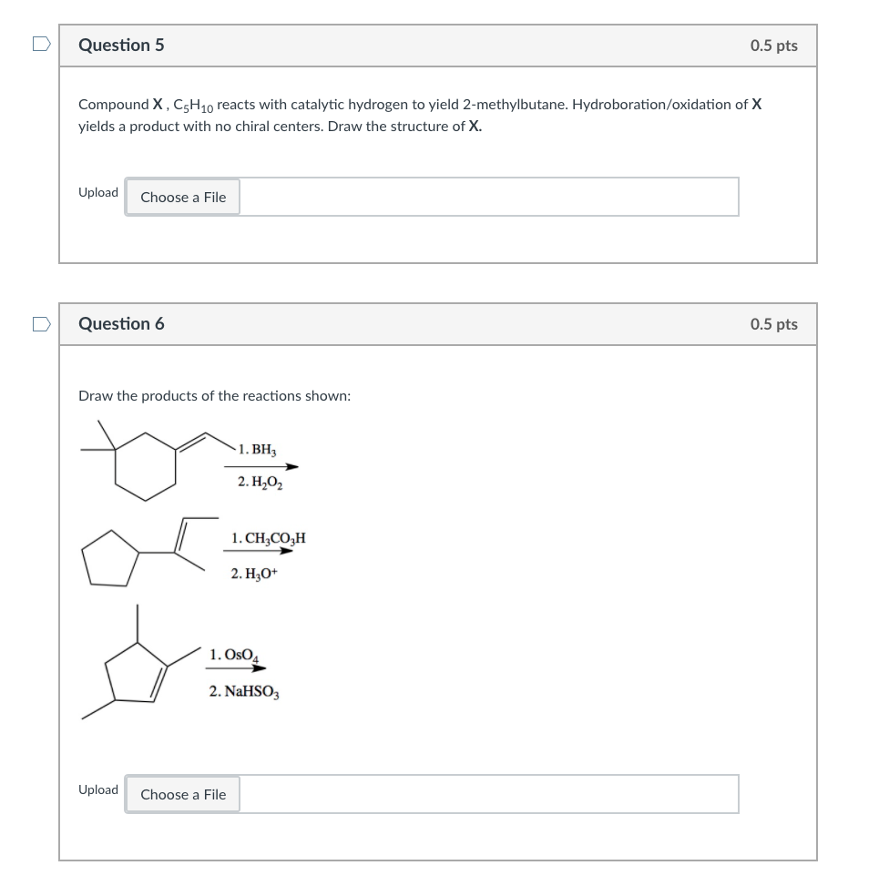 Solved D Question 5 0.5 pts Compound X, C3H10 reacts with | Chegg.com