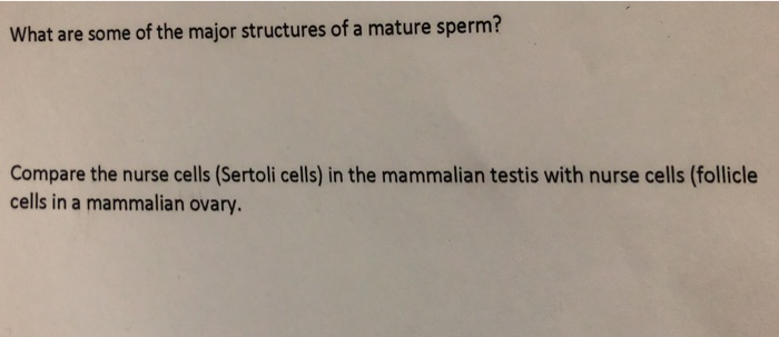 Solved What are some of the major structures of a mature | Chegg.com