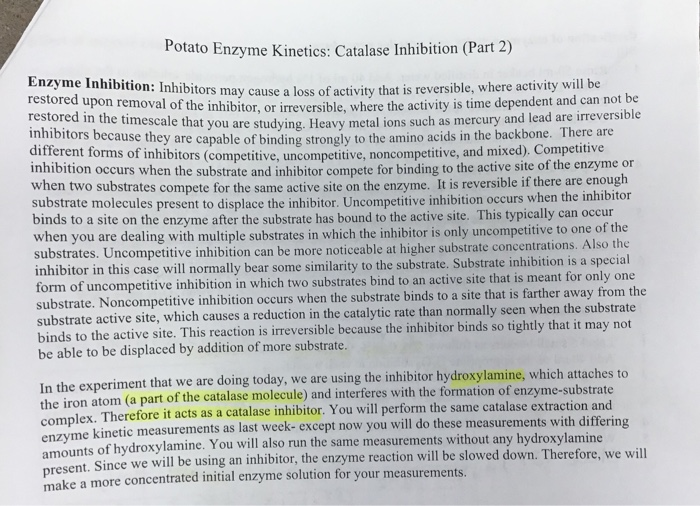 BCHE 341 Lab Lab 6 & 7: Potato Enzyme Kinetics: | Chegg.com
