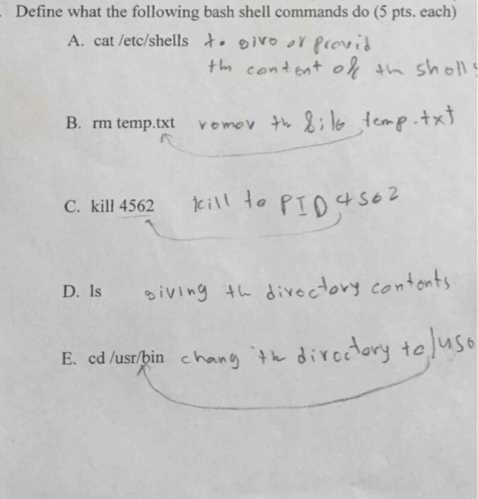 Solved Define what the following bash shell commands do A. | Chegg.com