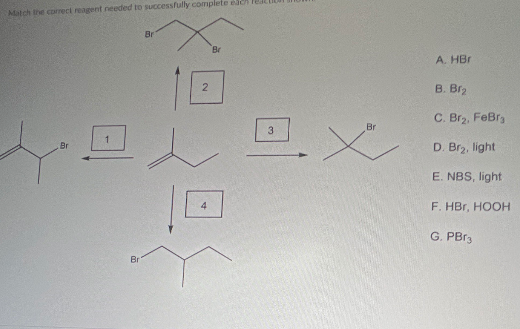 Solved A. HBr 2 B. Br2 C. Br2,FeBr3 D. Br2, light E. NBS, | Chegg.com