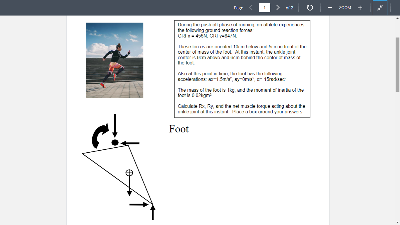 Solved During the push off phase of running, an athlete | Chegg.com