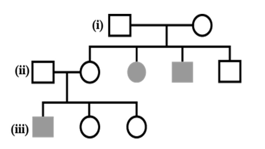 Solved The below pedigree is showing the inheritance of tail | Chegg.com