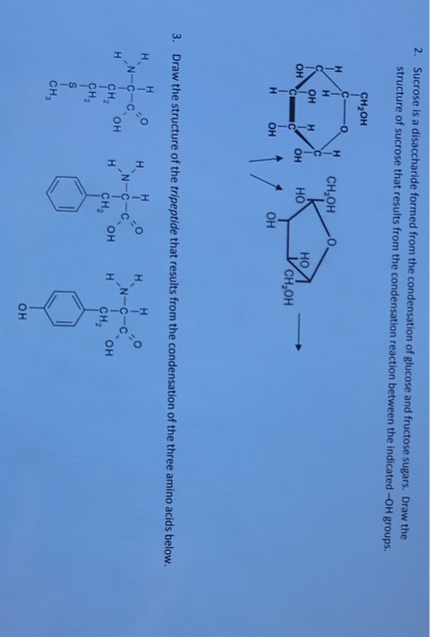 Solved 2. Sucrose is a disaccharide formed from the | Chegg.com