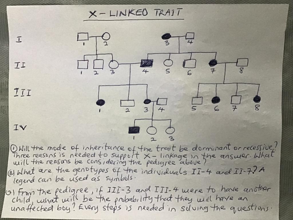 Solved X-LINKED TRAIT I 3 II On 1 2 6 7 8 III 2 3 4 5 6 7 ㅋ | Chegg.com