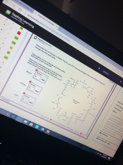 Solved GTP I | Chegg.com
