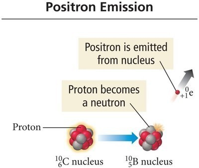 Solved The following nuclear reaction shows the radioactive | Chegg.com