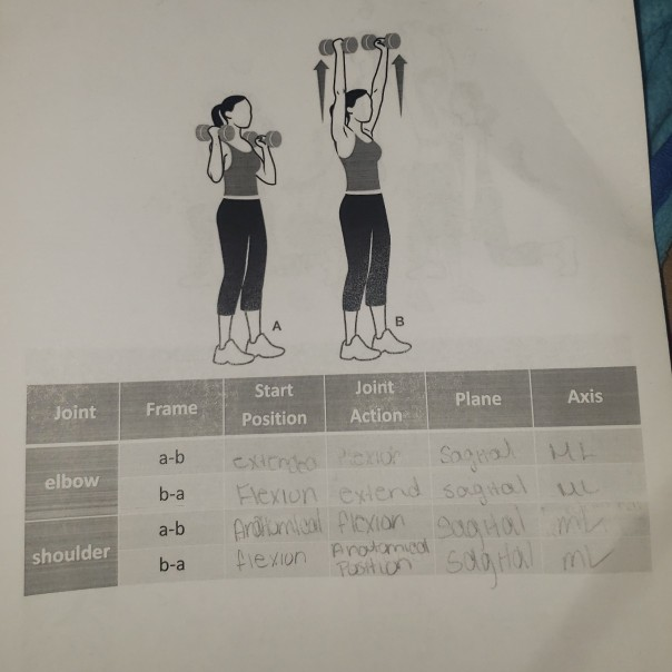 Solved Joint Start Joint Plane Axis Frame Action Position | Chegg.com