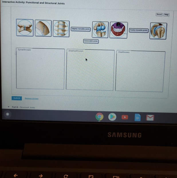 Solved Interactive Activity: Functional and Structural | Chegg.com