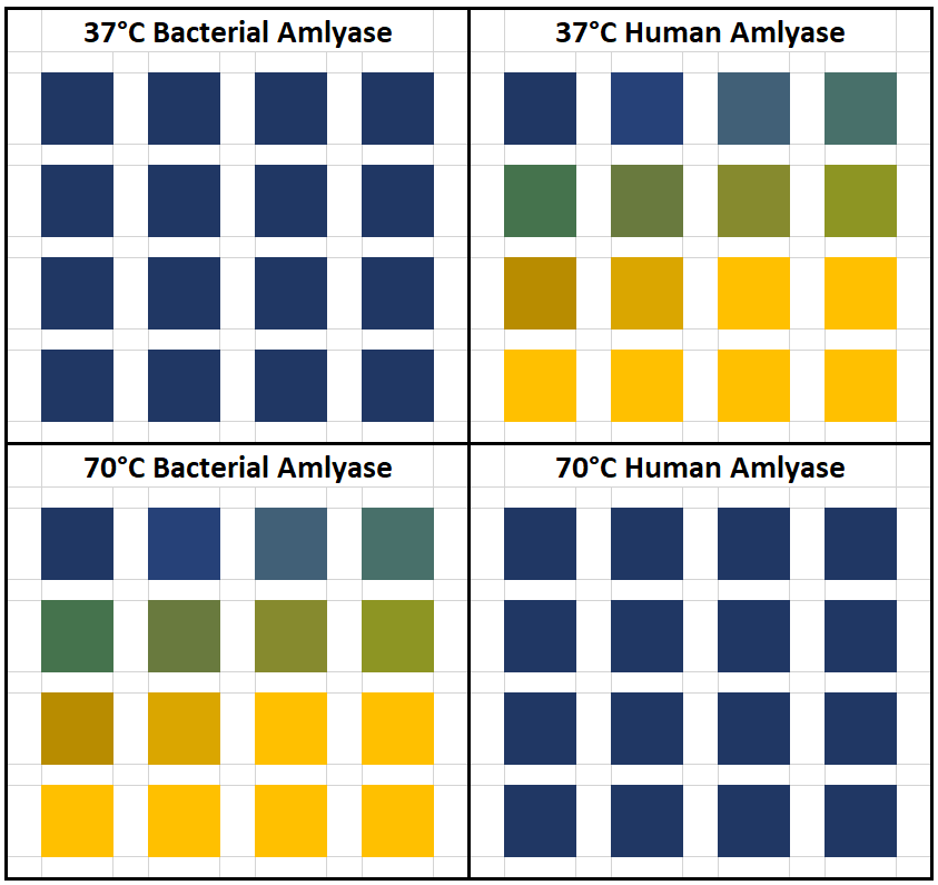 Solved We were testing amylase activity with four different | Chegg.com