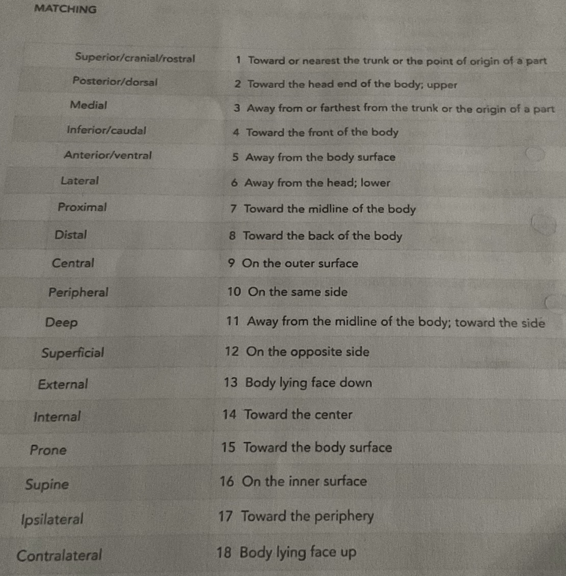 Solved MATCHING Superior/cranial/rostral Posterior/dorsal | Chegg.com