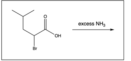 Solved excess NH3 OH Br NH3 NH compound A compound B | Chegg.com
