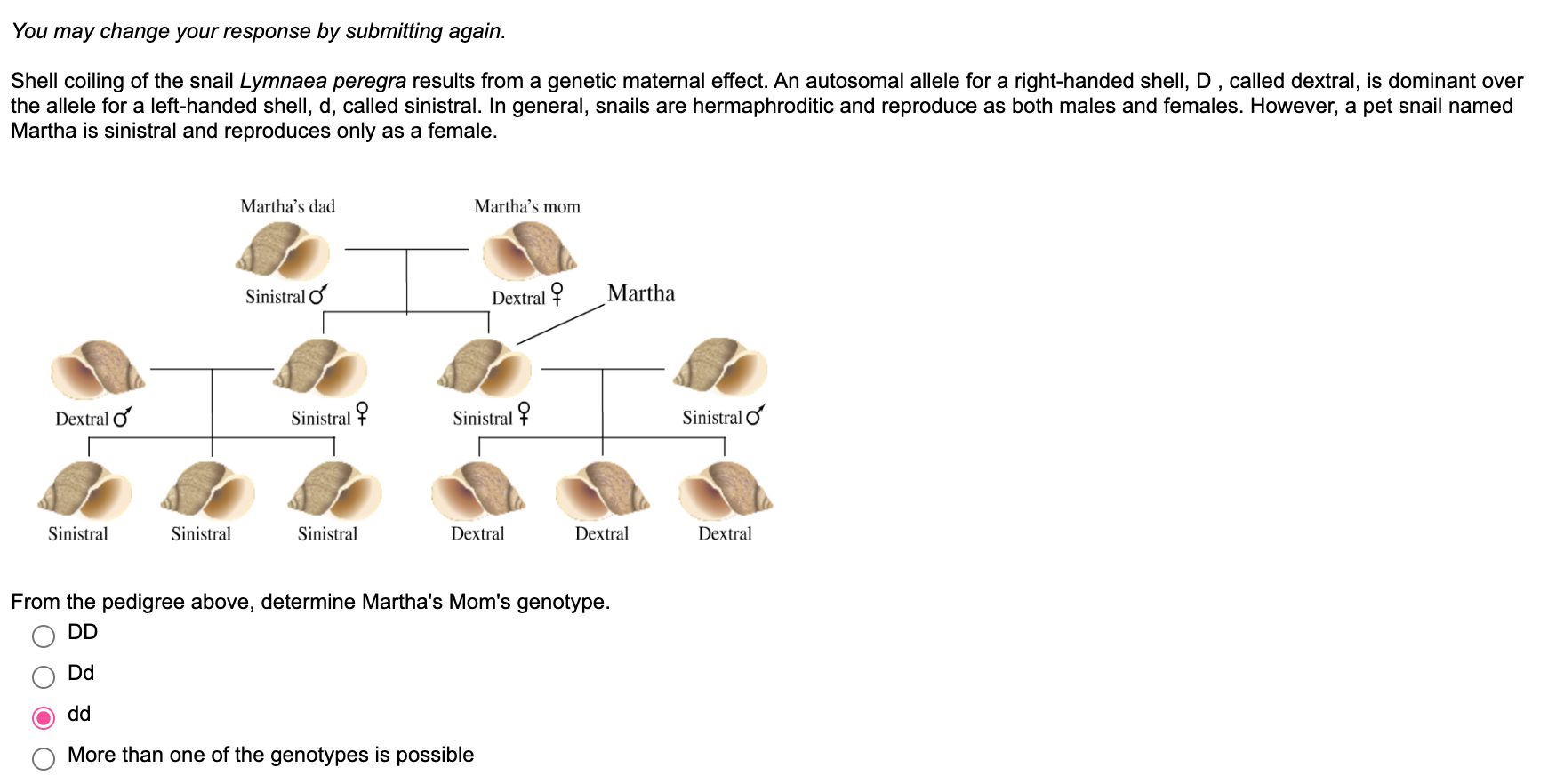 Solved You may change your response by submitting again. | Chegg.com