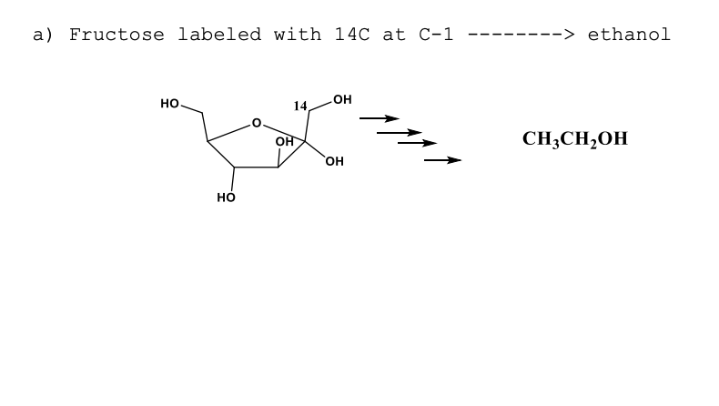 Solved A functioning soluble glycolytic system is supplied | Chegg.com