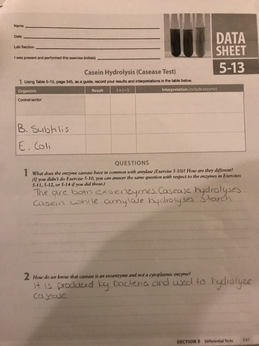 Solved Name DATA SHEET 5-13 Date Lab Section I was present | Chegg.com