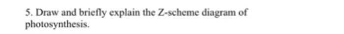 Solved 5. Draw and briefly explain the Z-scheme diagram of | Chegg.com