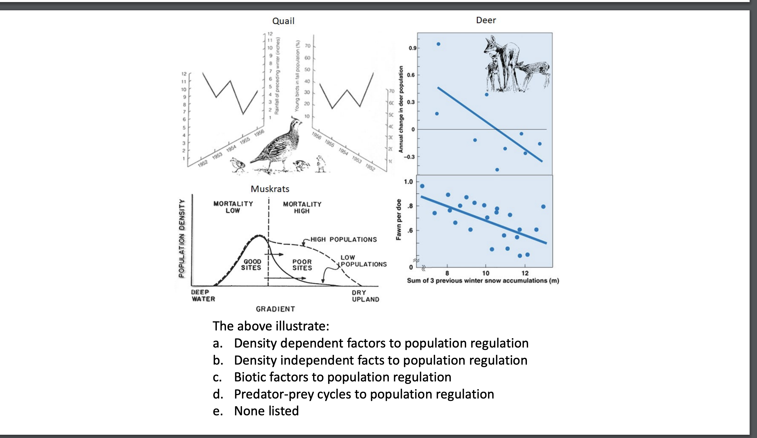 Solved The above illustrate: a. Density dependent factors to | Chegg.com
