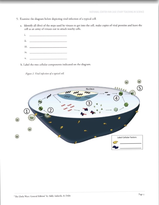 Solved ATIONAL CENTER FOR CASE STUDY TEACHINGIN SCIENCE 5. | Chegg.com